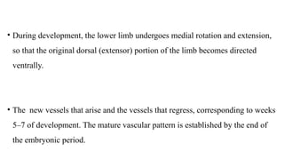 ANATOMY OF LOWER LIMB ARTERIAL SUPPLY.pptx