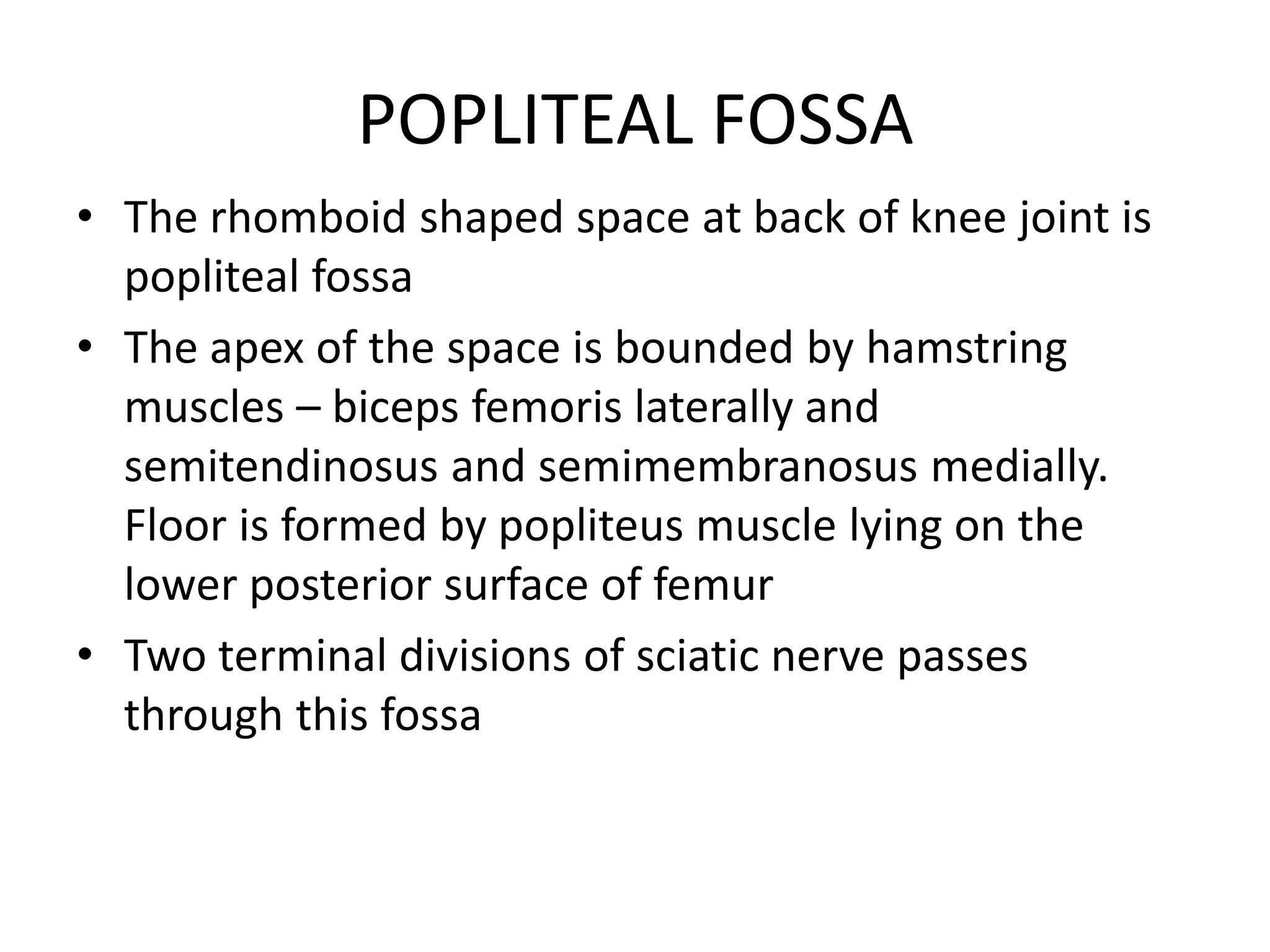 ANATOMY OF LOWER LIMB BLOCKS.pptx