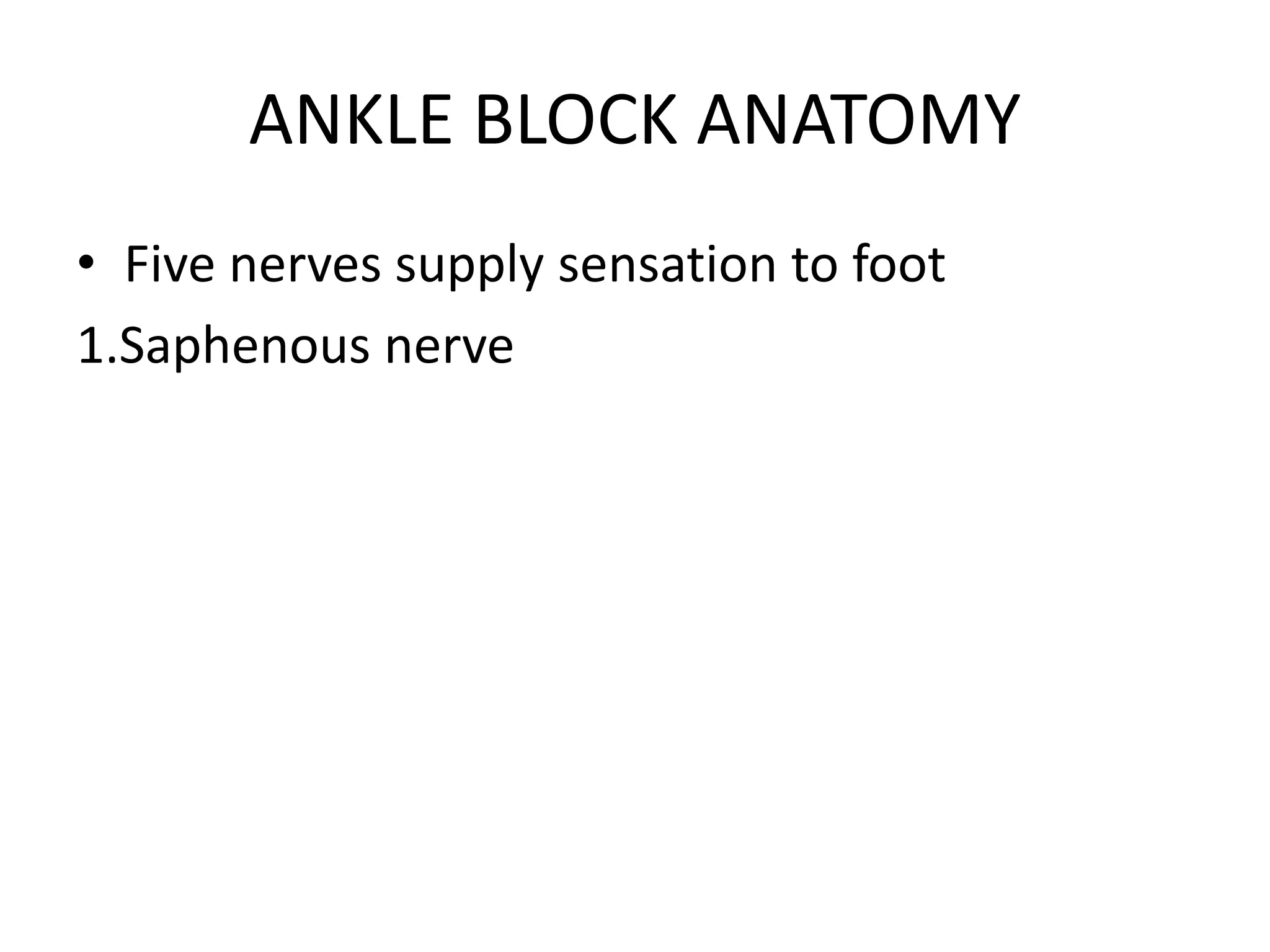 ANATOMY OF LOWER LIMB BLOCKS.pptx