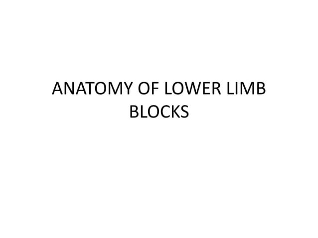 ANATOMY OF LOWER LIMB BLOCKS.pptx | Death, Injury, or Military Conflict ...