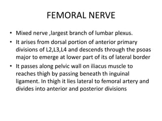 ANATOMY OF LOWER LIMB BLOCKS.pptx | Death, Injury, or Military Conflict ...