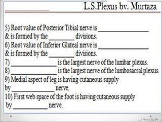 Anatomy of lumbosacral plexus (by Murtaza Syed) | PPT