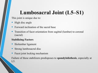 Anatomy of lumbosacral region Updated 24-12-25.pptx