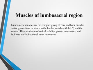 Anatomy of lumbosacral region Updated 24-12-25.pptx