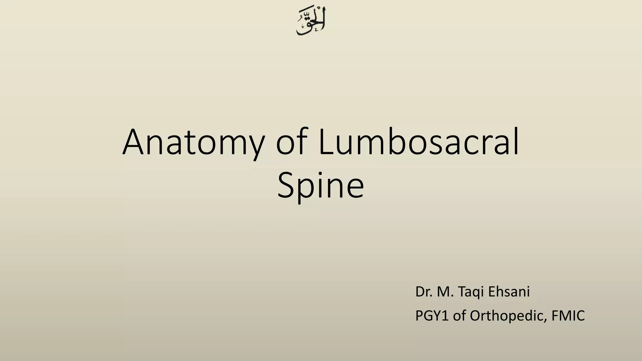 Anatomy of Lumbosacral Spine.pptx