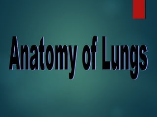 Lung of Anatomy | PPT