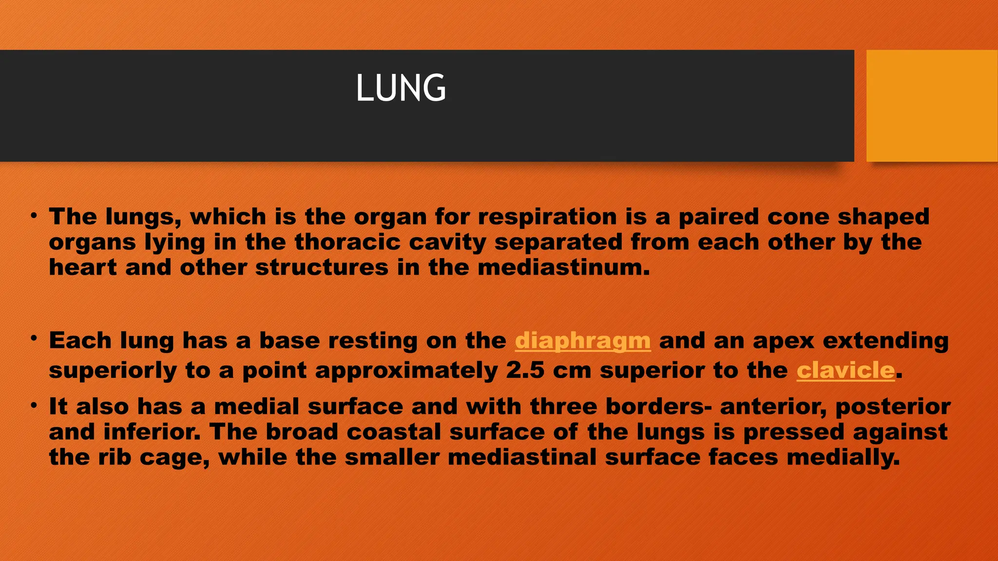 Anatomy of lungs and physiology of lungs | PPTX