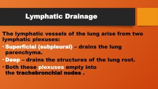 Anatomy of lungs and physiology of lungs | PPTX