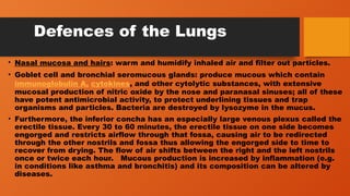 Anatomy of lungs and physiology of lungs | PPTX