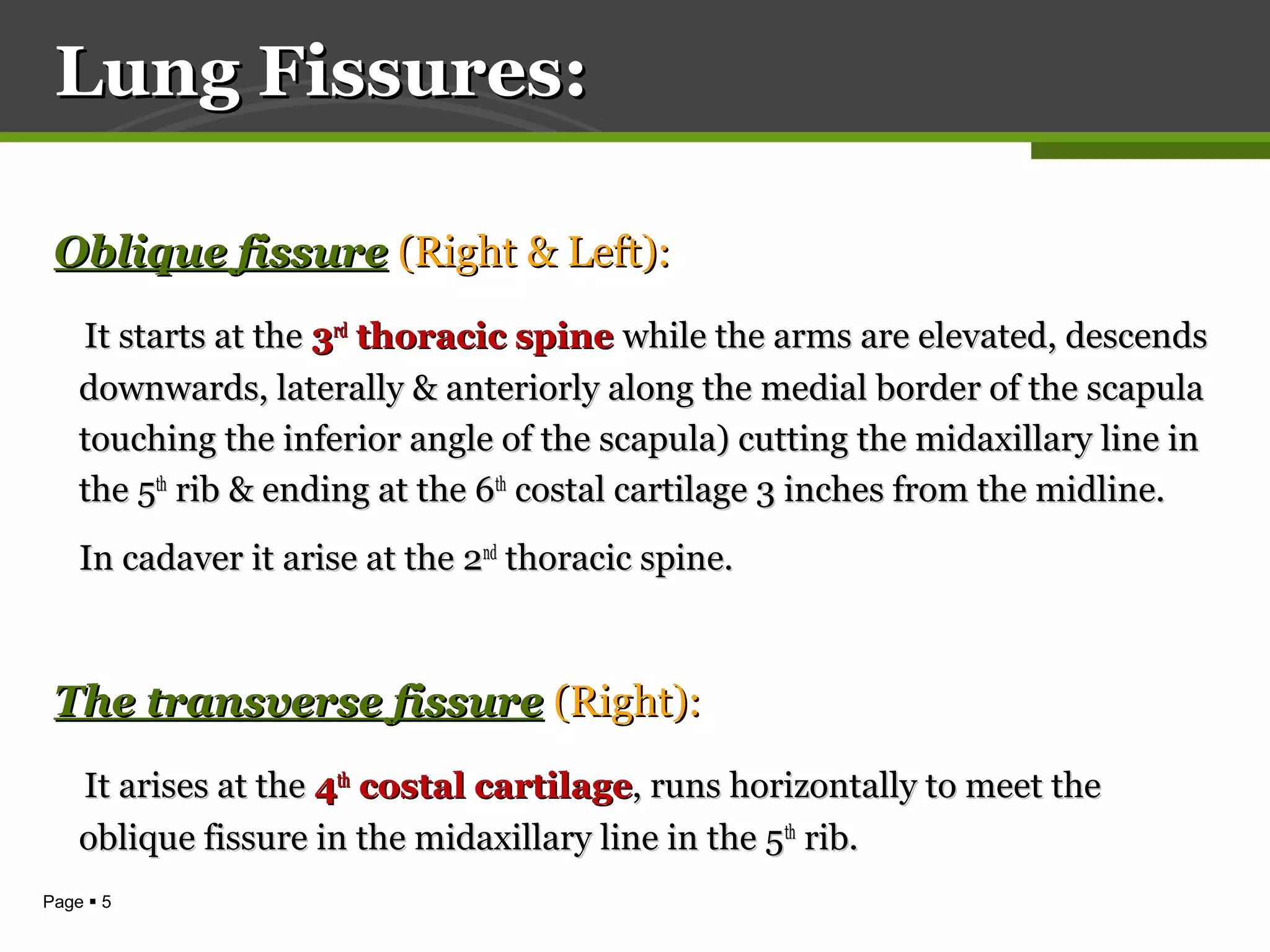 Anatomy of lung & pleura | PPT