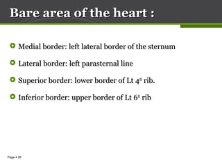 Anatomy of lung & pleura | PPT