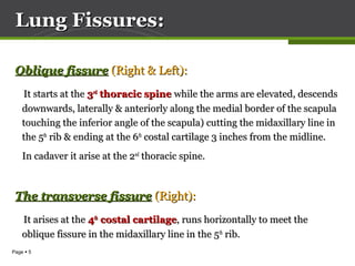 Anatomy of lung & pleura | PPT