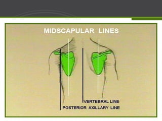 Midscapular Line