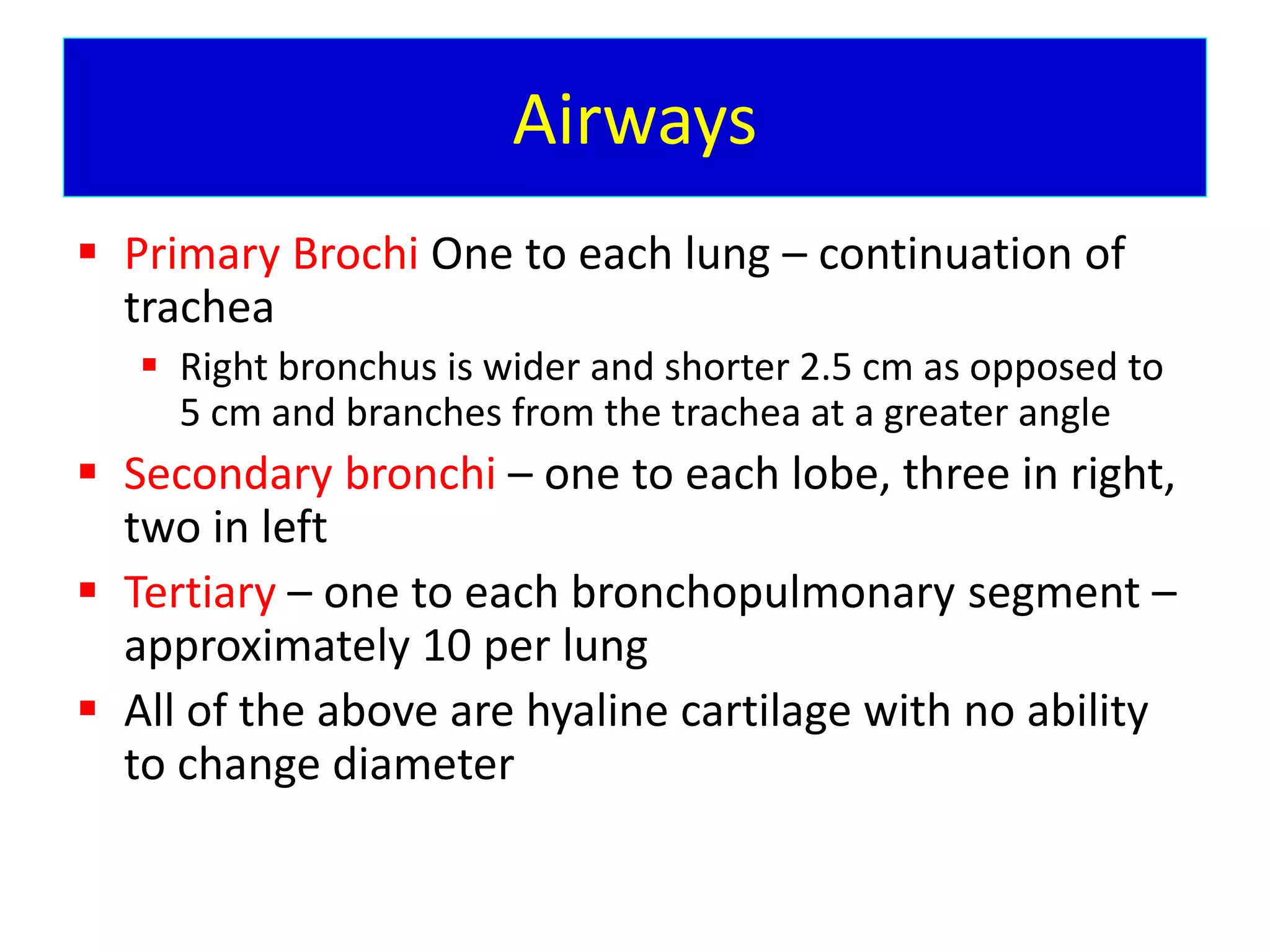 Clinical Anatomy of lungs | PPTX