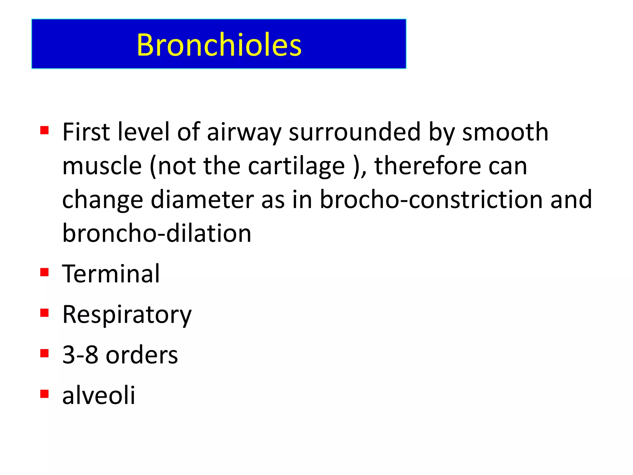 Clinical Anatomy of lungs | PPTX