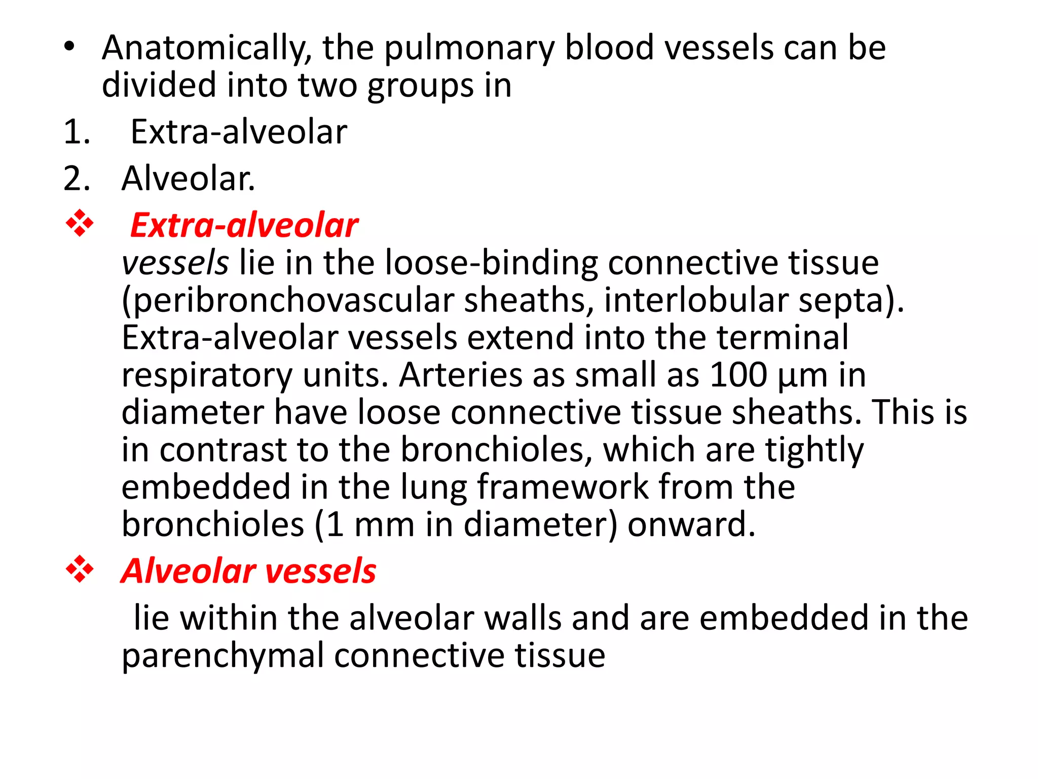 Clinical Anatomy of lungs | PPTX