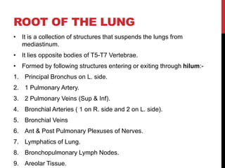 Lungs Anatomy | PPTX | Lung and Respiratory Health | Diseases and ...