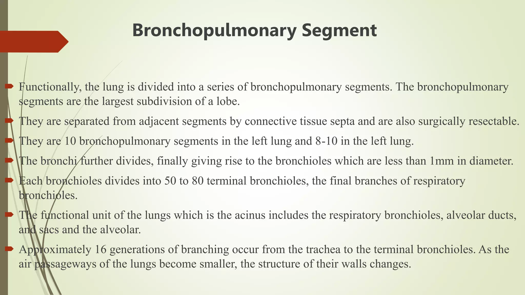 Anatomy Of Lungs.pptx