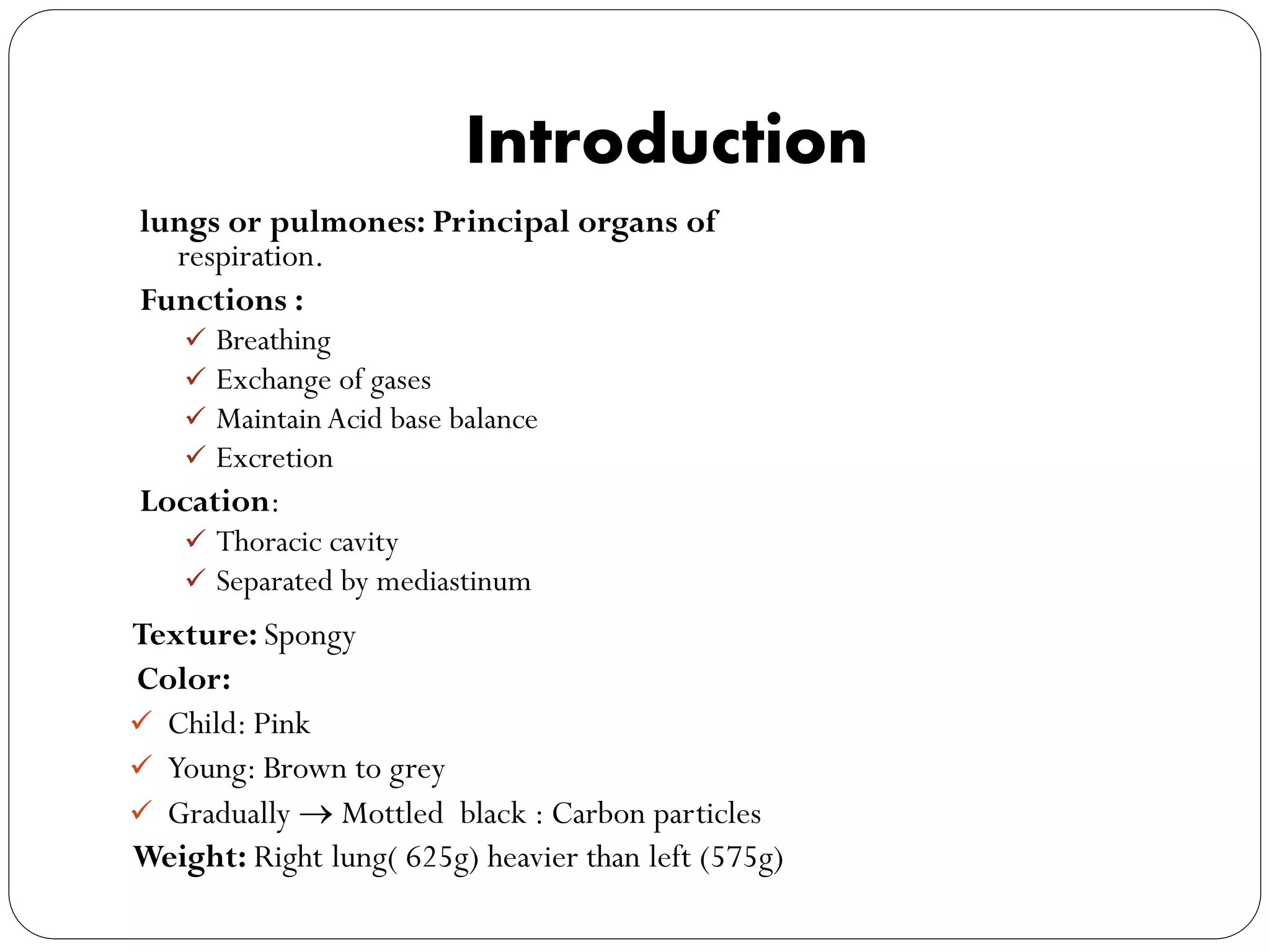 Anatomy of Lungs.pdf