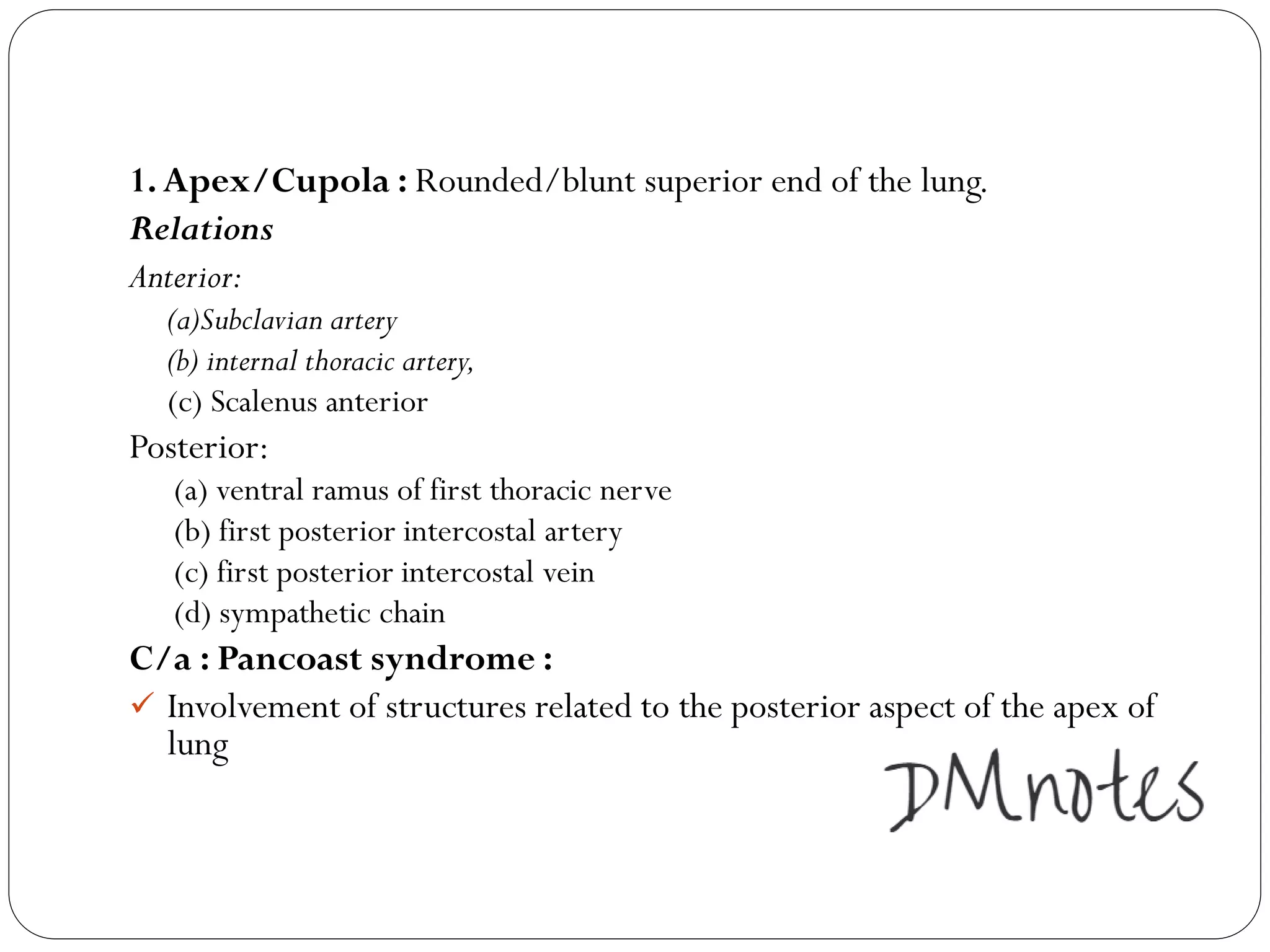 Anatomy of Lungs.pdf