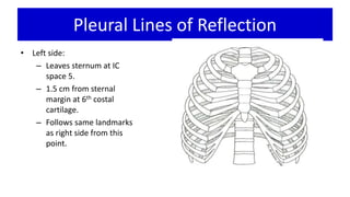 Anatomy of lungs, pleura and diaphragm | PPTX