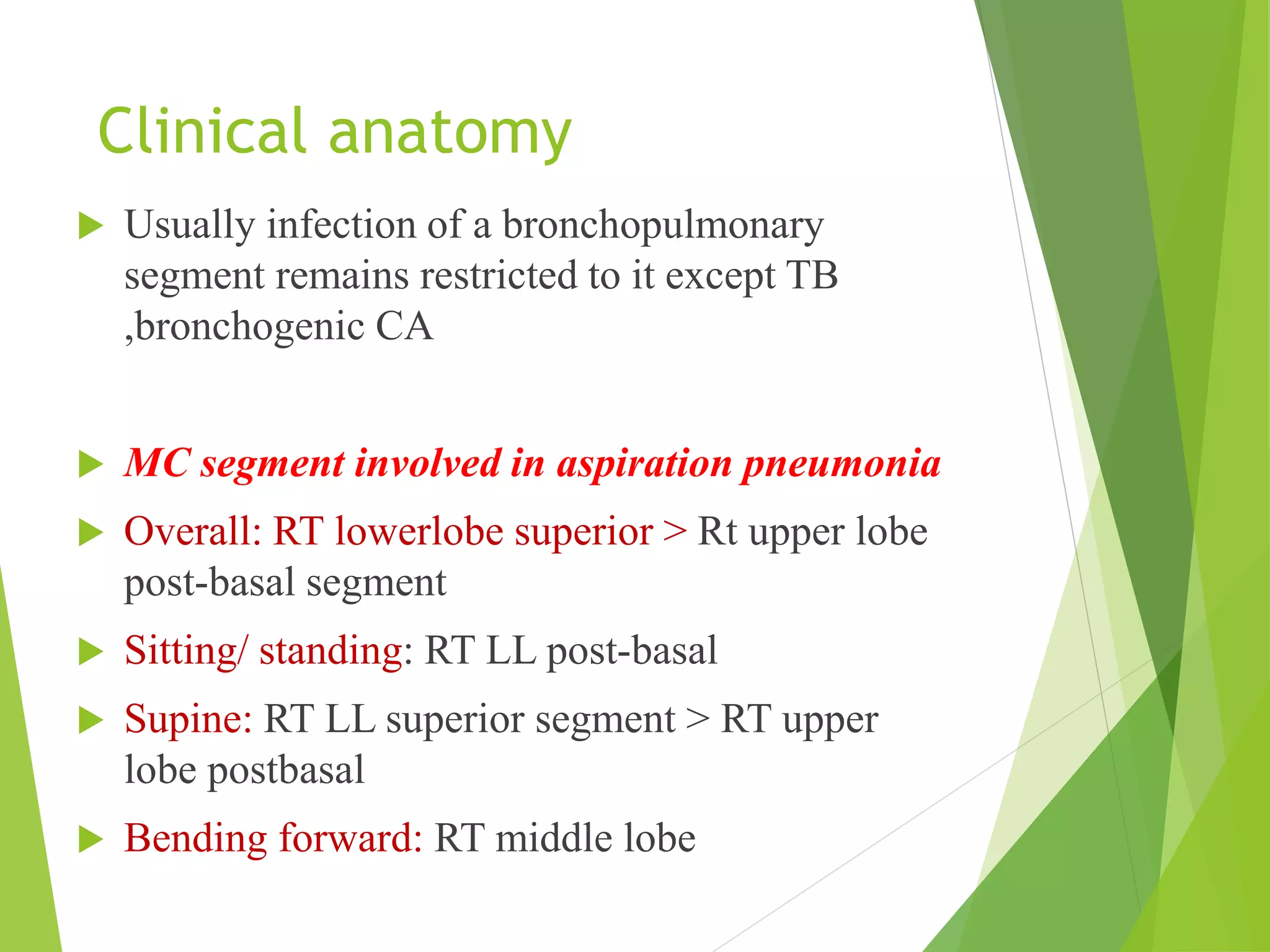 Basic anatomy of lung .ppt