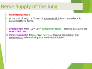 Basic anatomy of lung .ppt