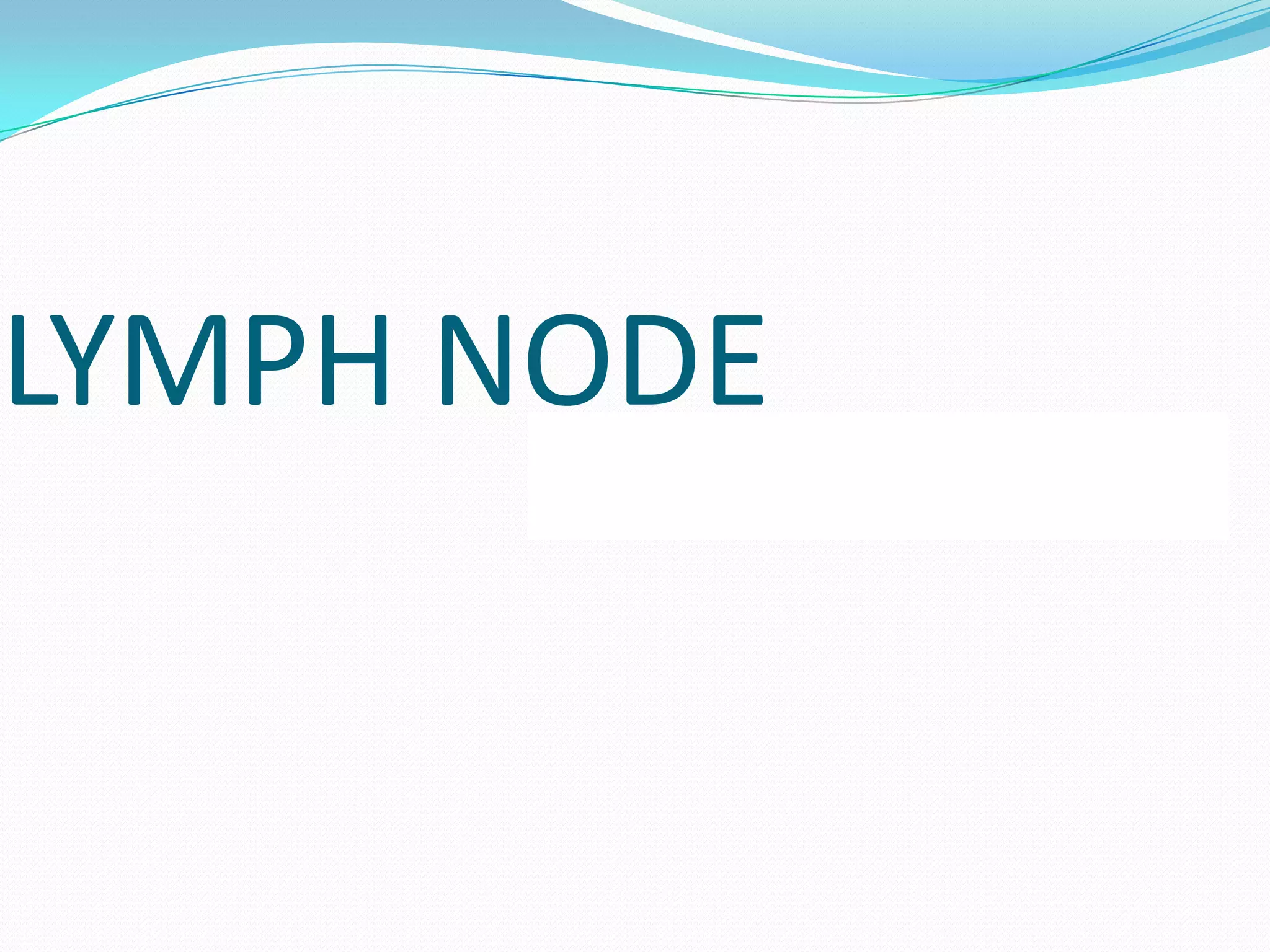 Anatomy of lymph node | PPTX