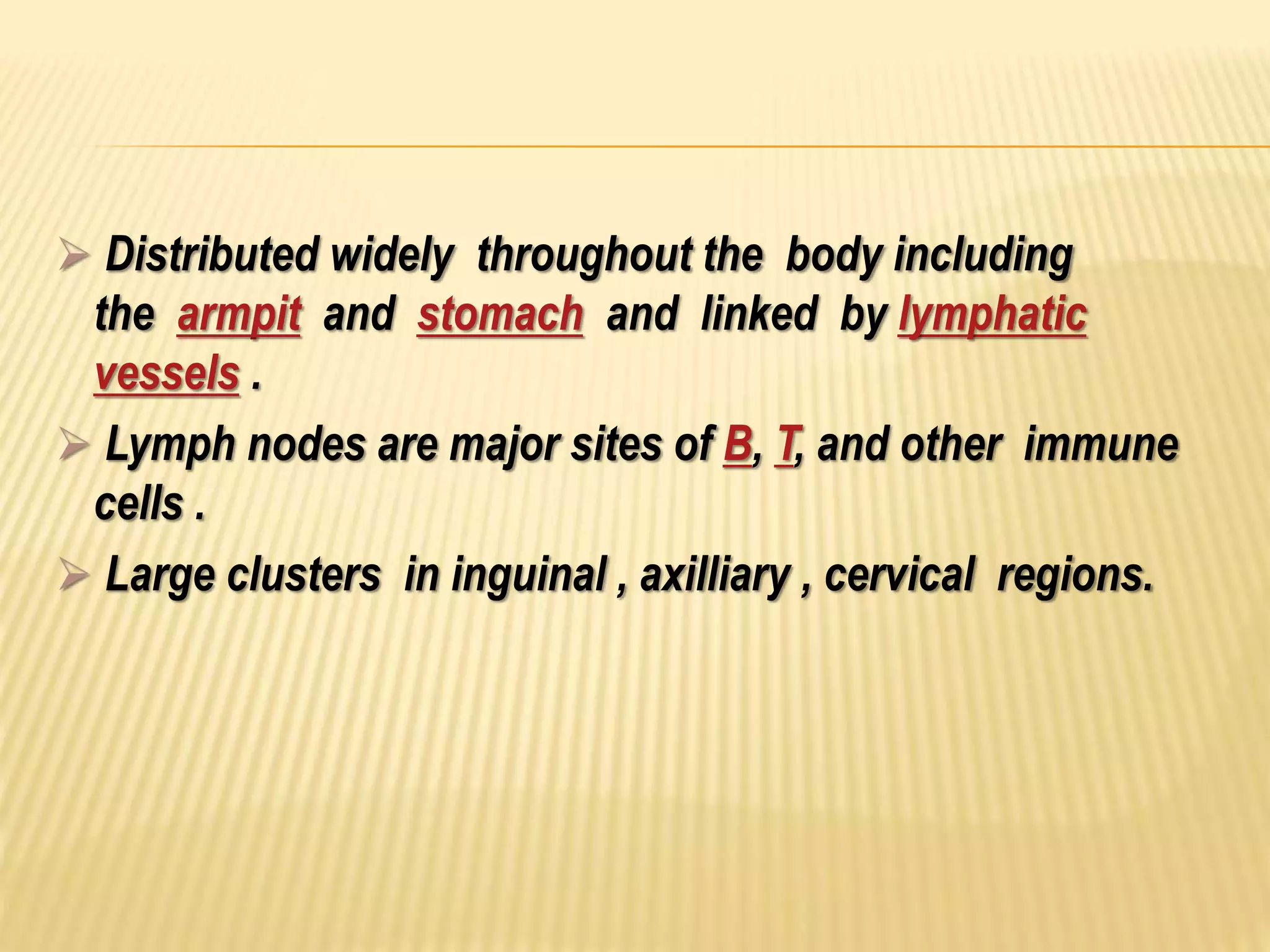 Anatomy of lymph node by hussein ali hussein | PPT