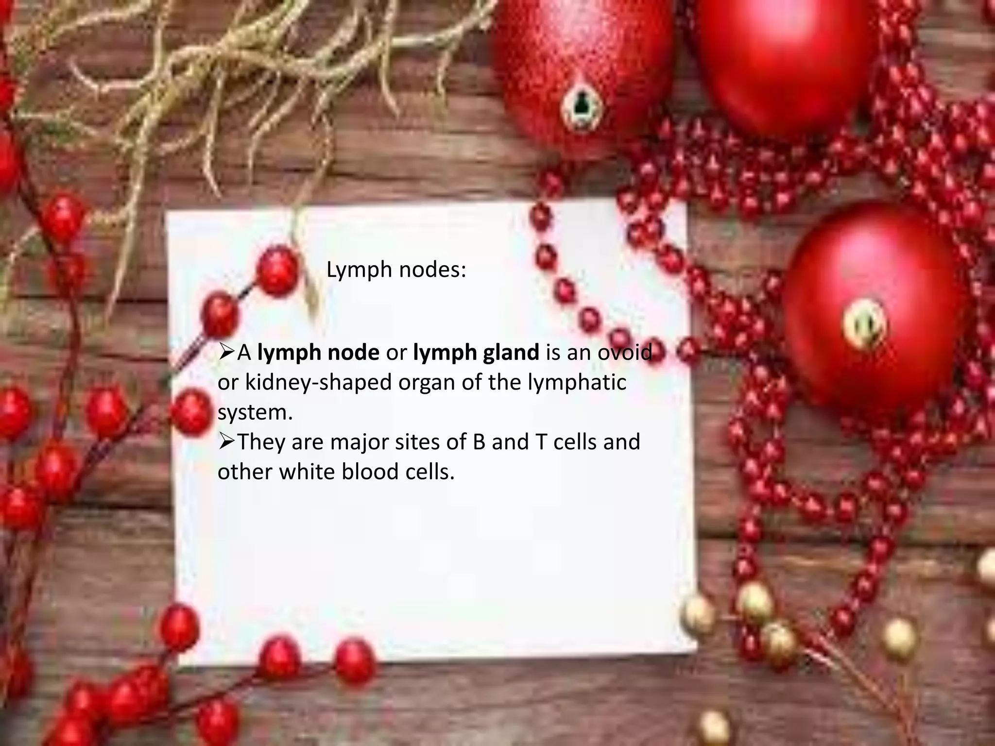 Anatomy of lymph nodes and presence of lymph nodes | PPT