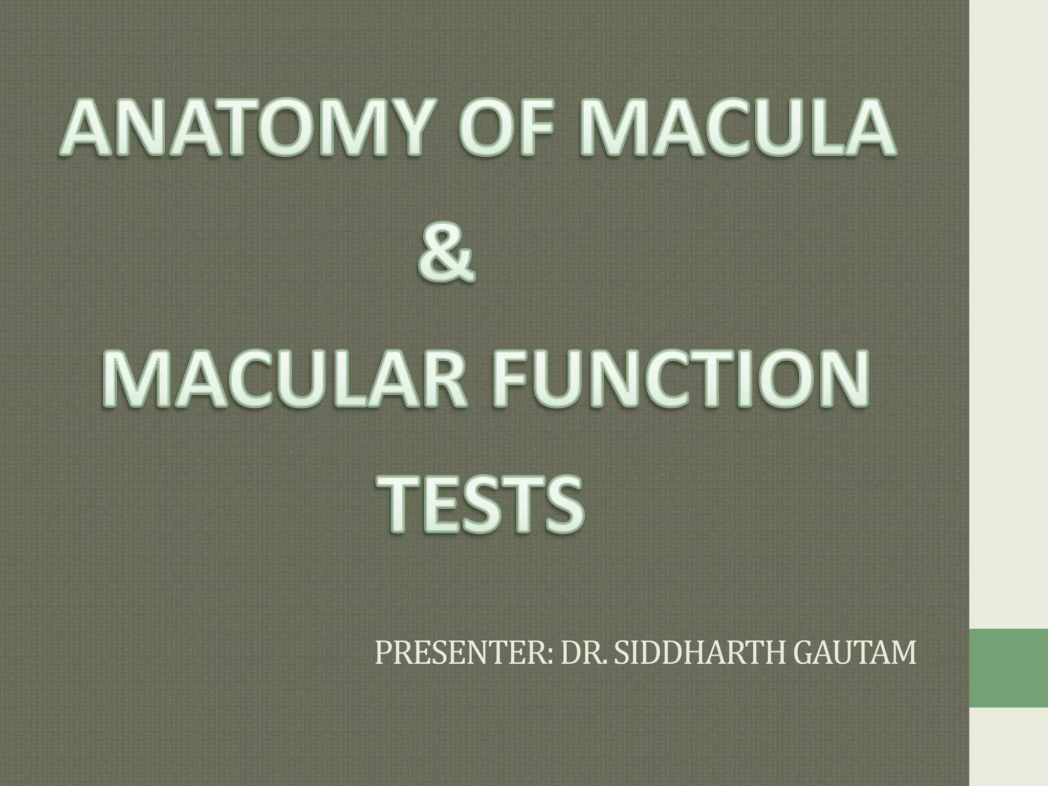 Anatomy of macula | PPTX | Eye and Vision Conditions | Diseases and ...