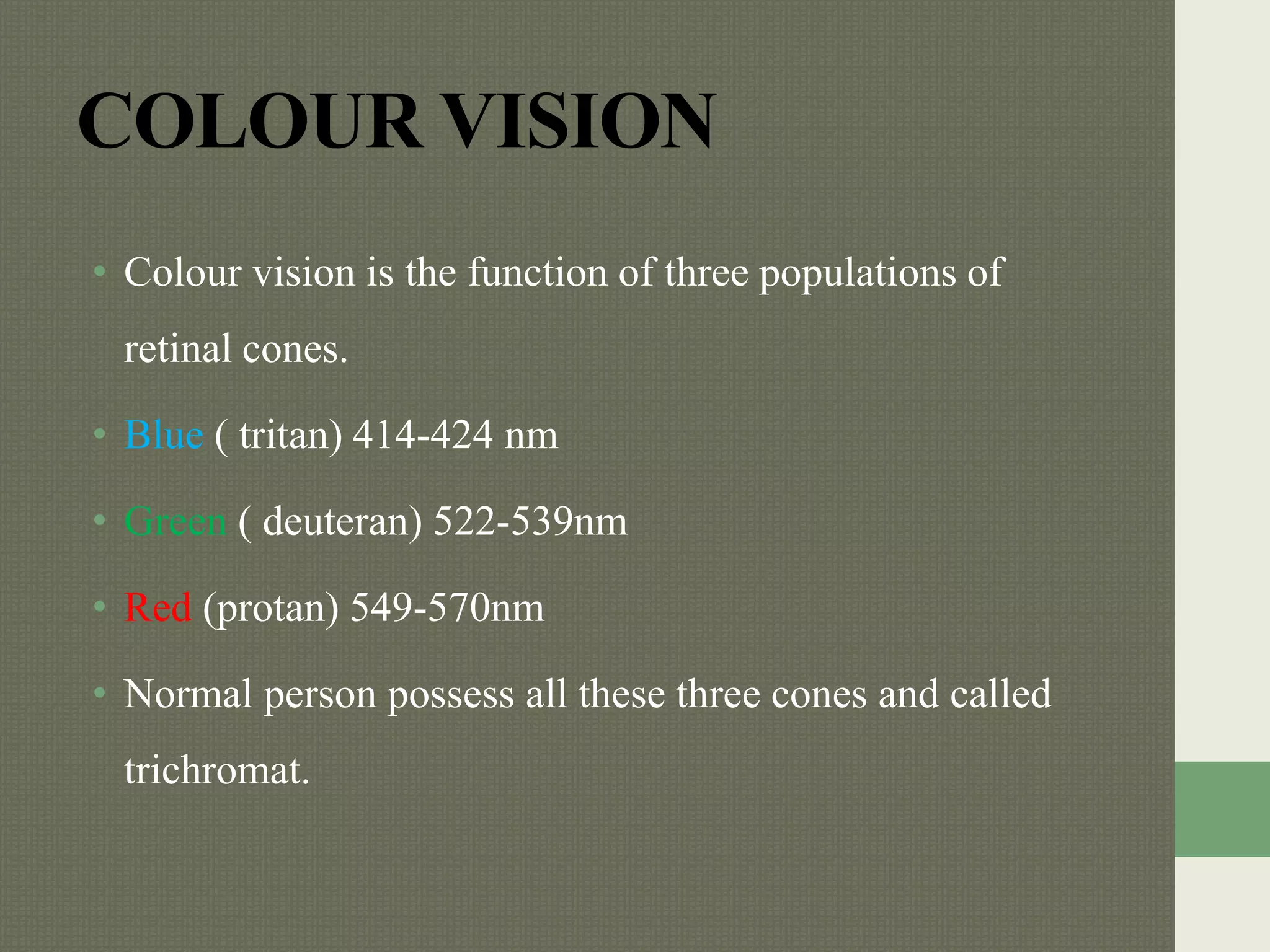 Anatomy of macula | PPTX | Eye and Vision Conditions | Diseases and ...