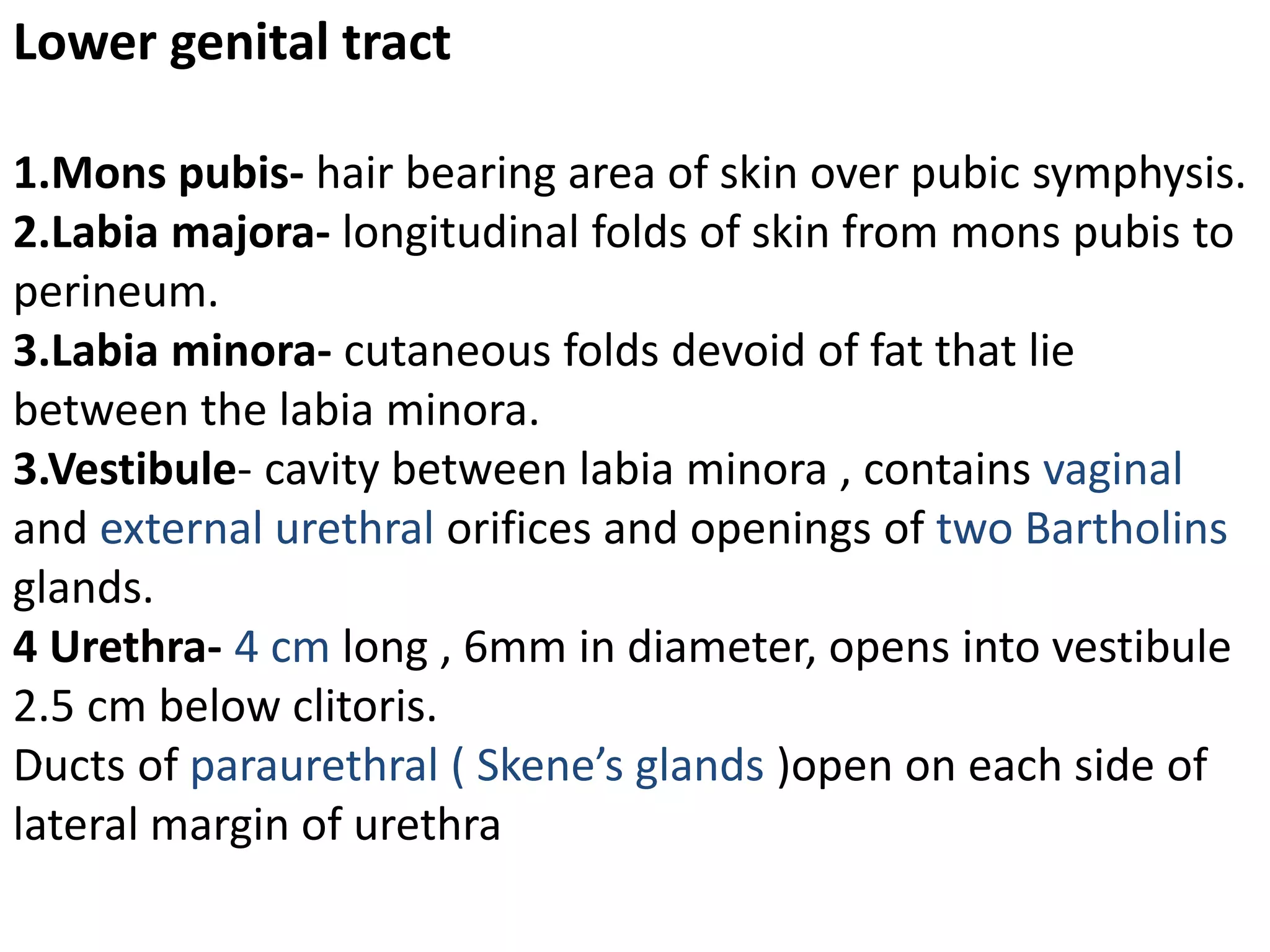 Anatomy Of Male And Female Genital System | PPTX