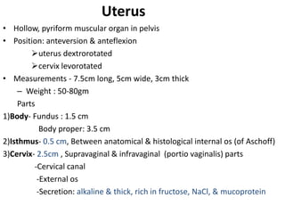 Anatomy Of Male And Female Genital System | PPTX