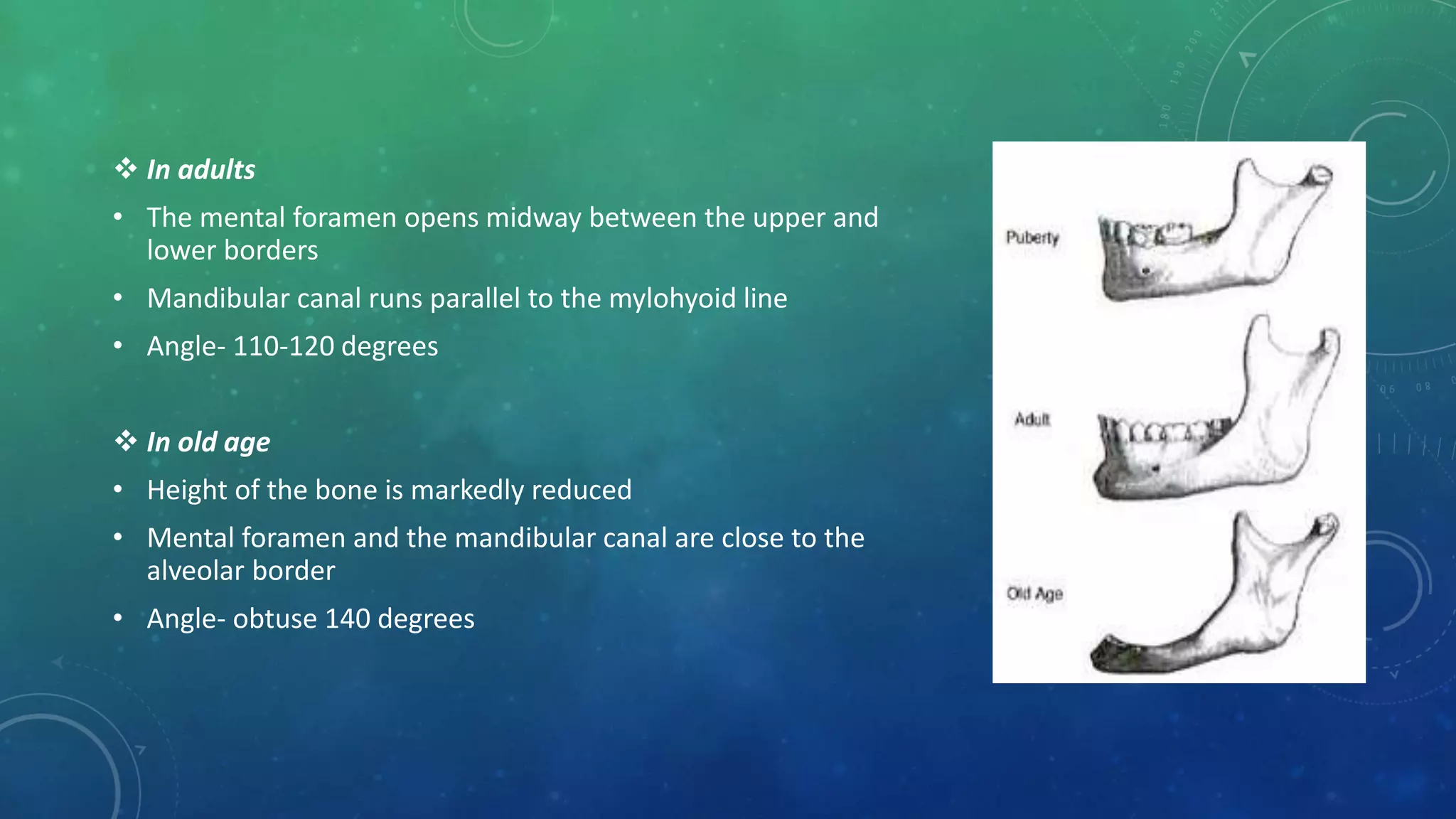 Anatomy of mandible | PPTX