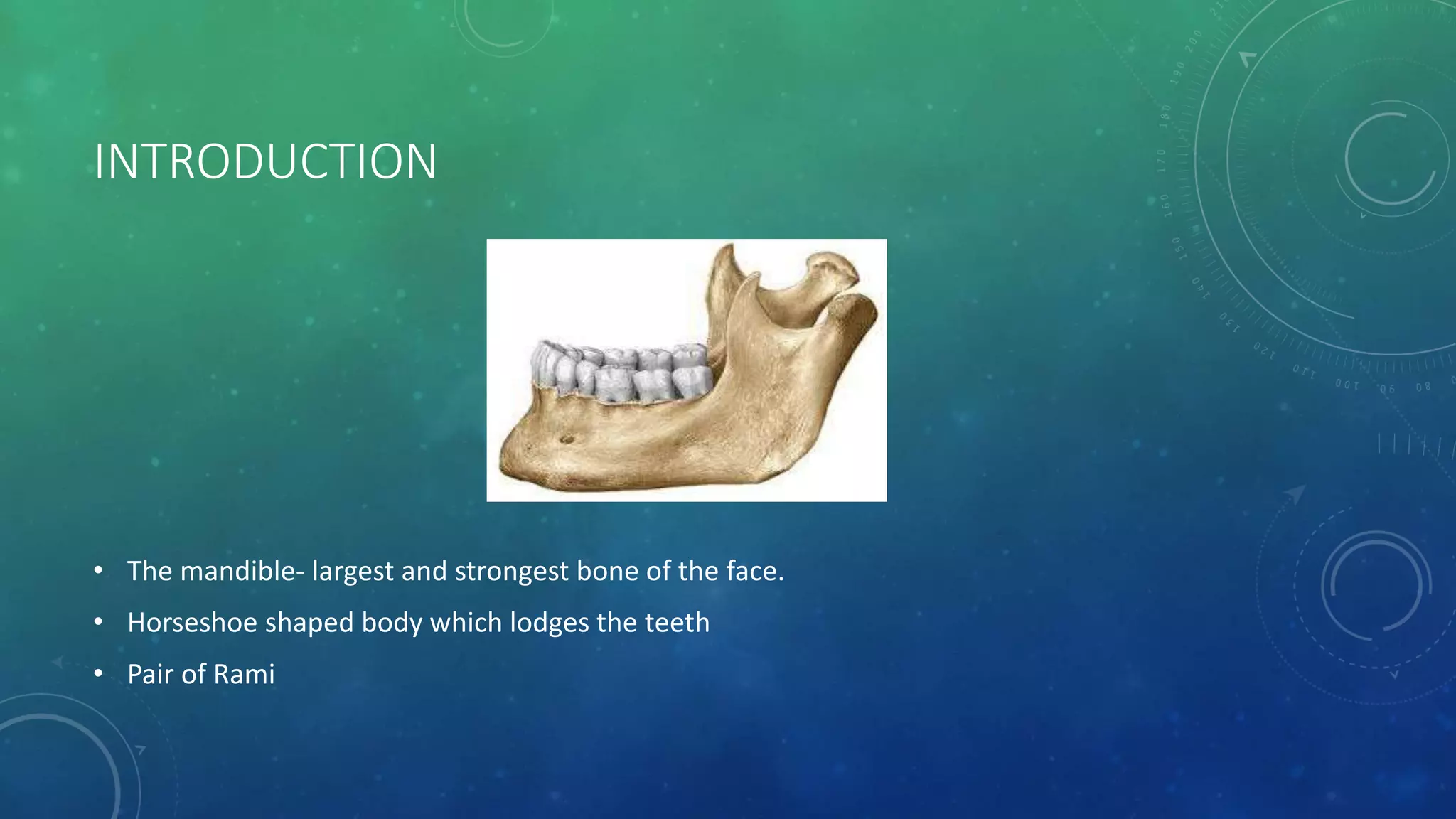 Anatomy of mandible | PPTX