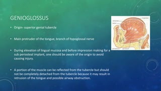 Anatomy of mandible | PPTX