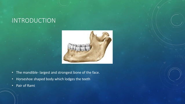 Anatomy of mandible | PPTX