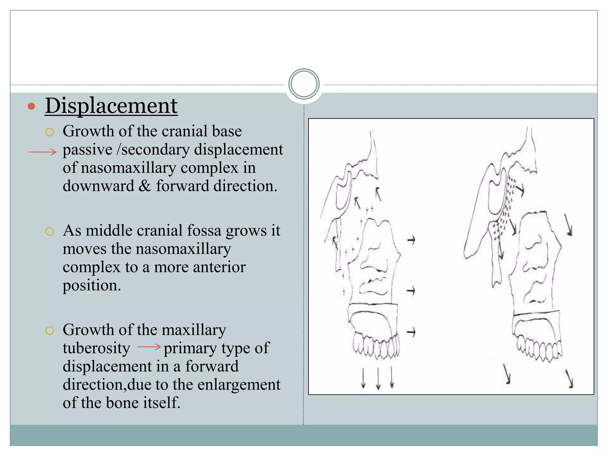 Anatomy of maxilla and its development | PPTX