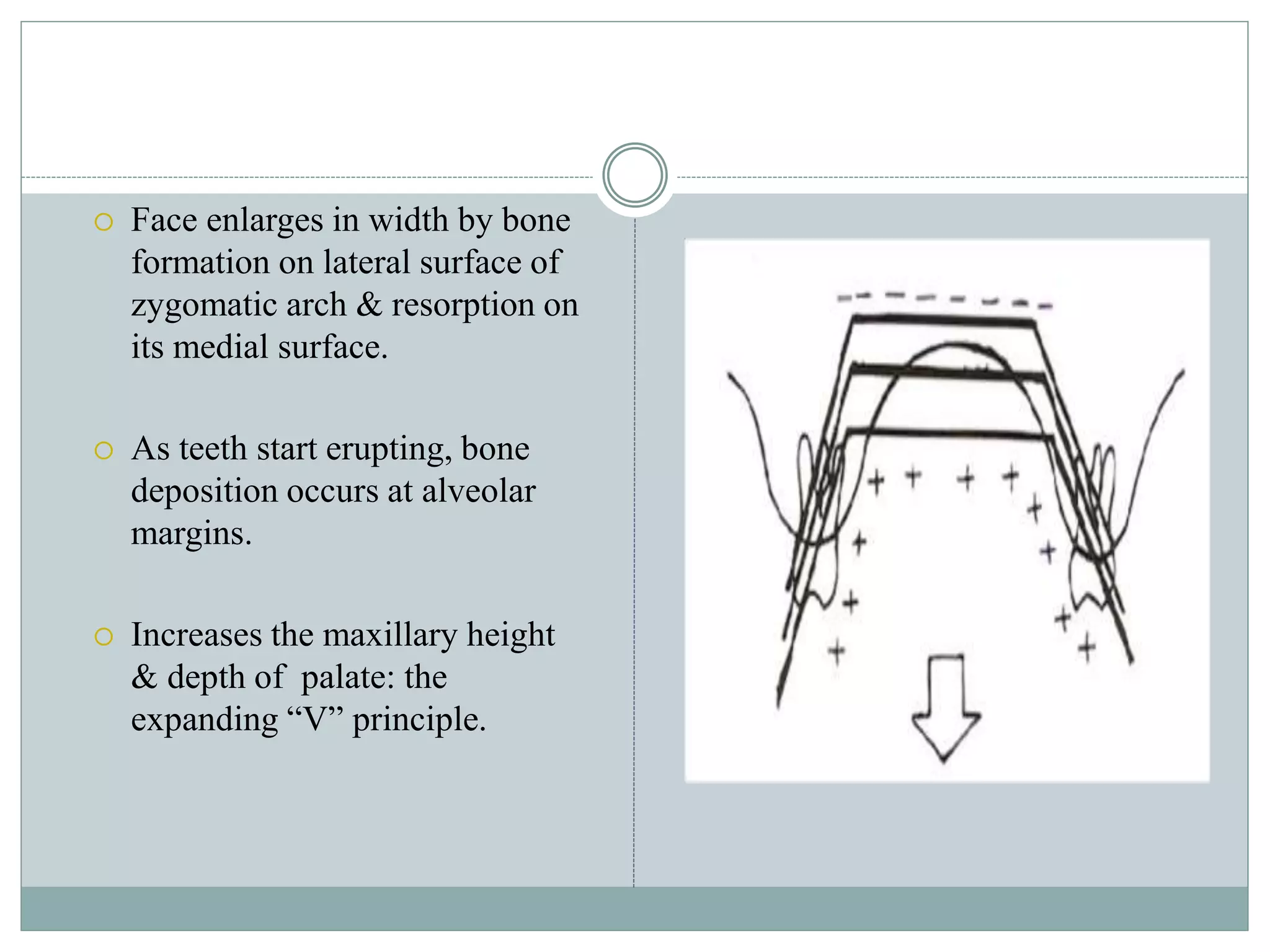 Anatomy of maxilla and its development | PPTX