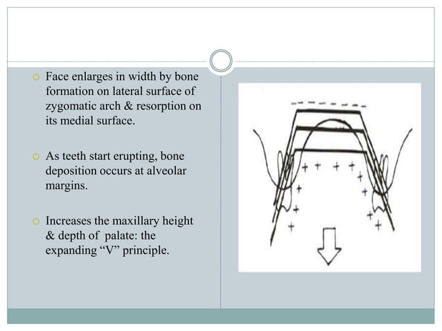 Anatomy of maxilla and its development | PPTX