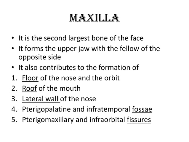 Anatomy of maxilla and mandible | PPTX | Ear, Nose and Throat ...