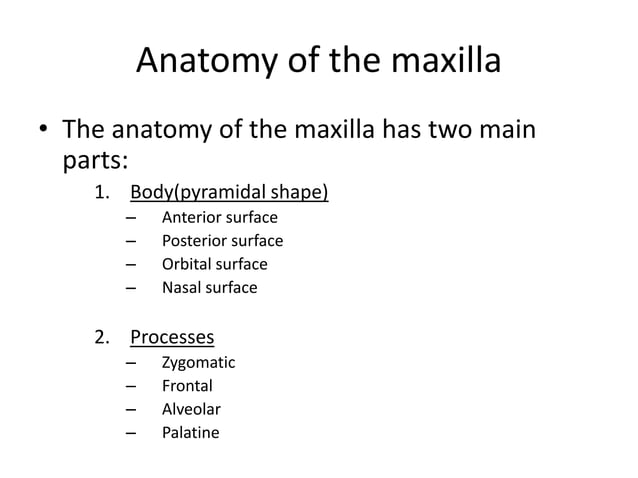 Anatomy of maxilla and mandible | PPTX | Ear, Nose and Throat ...