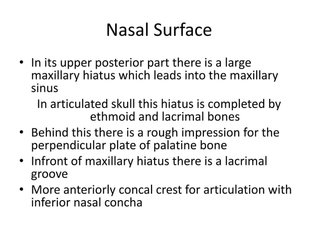 Anatomy of maxilla and mandible | PPTX | Ear, Nose and Throat ...