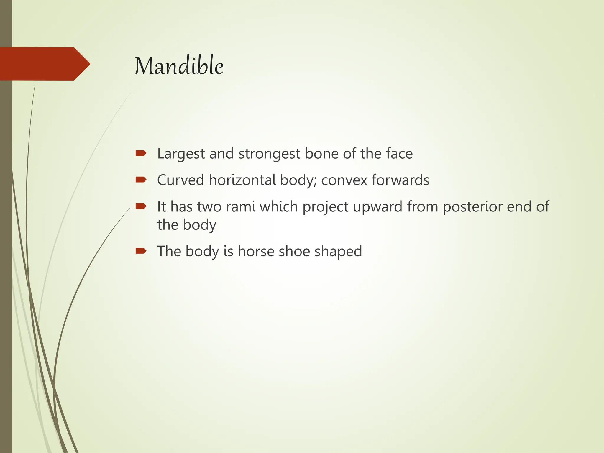 anatomy of maxilla and mandible.pptx omfs | PPTX