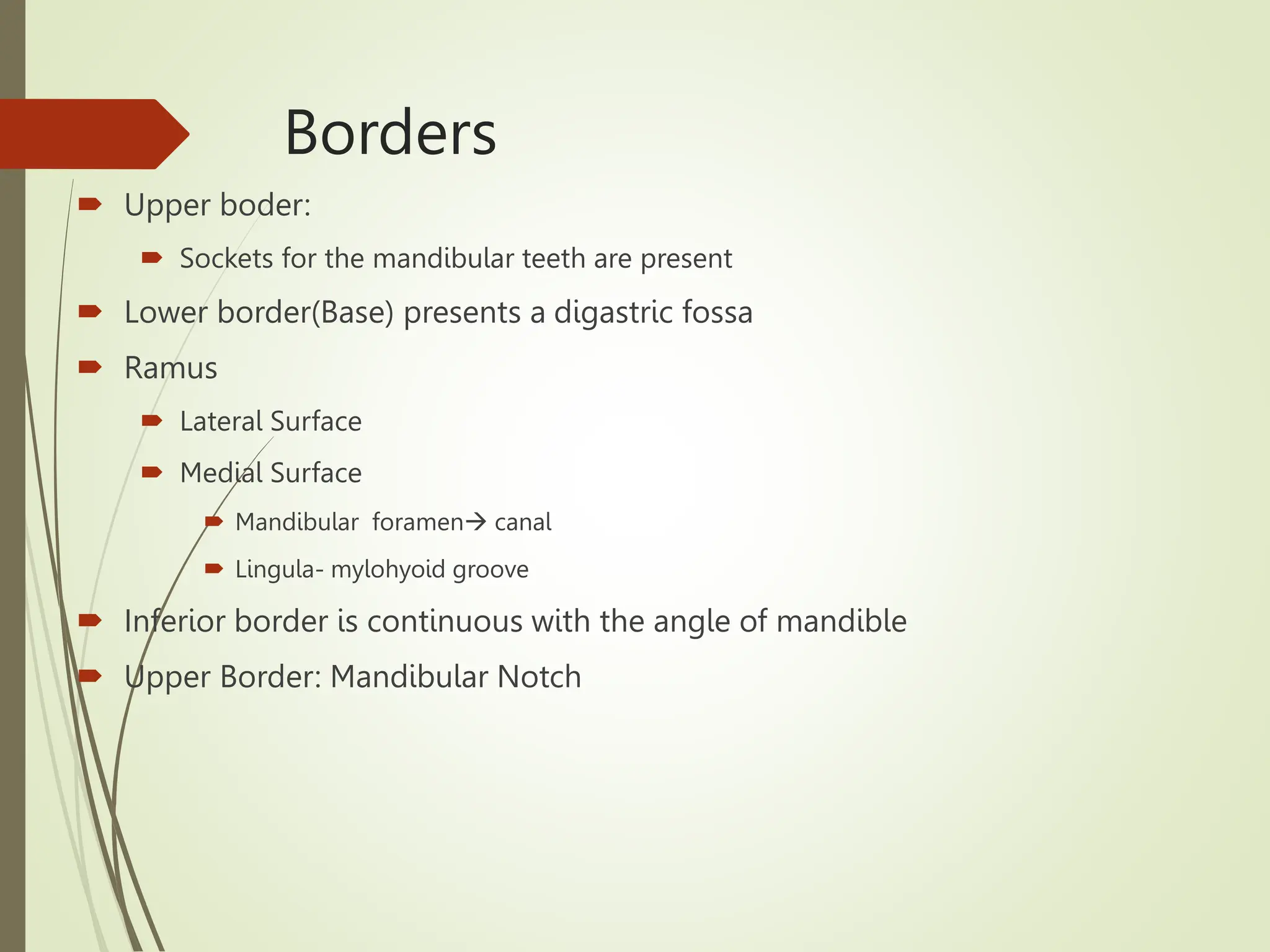 anatomy of maxilla and mandible.pptx omfs | PPTX