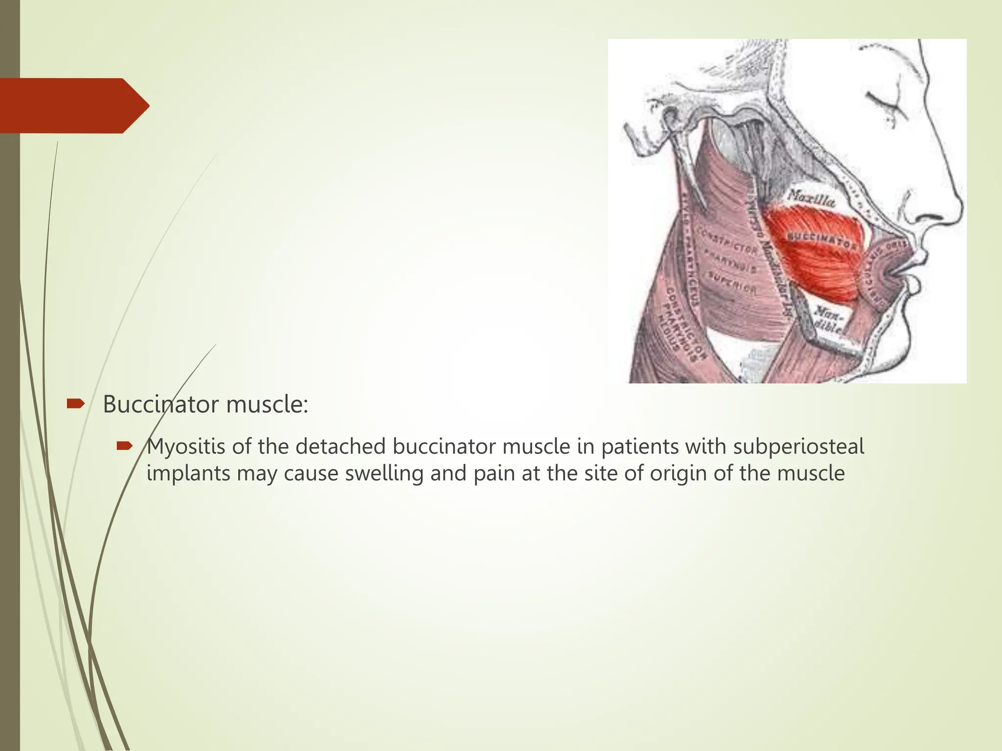 anatomy of maxilla and mandible.pptx omfs | PPTX
