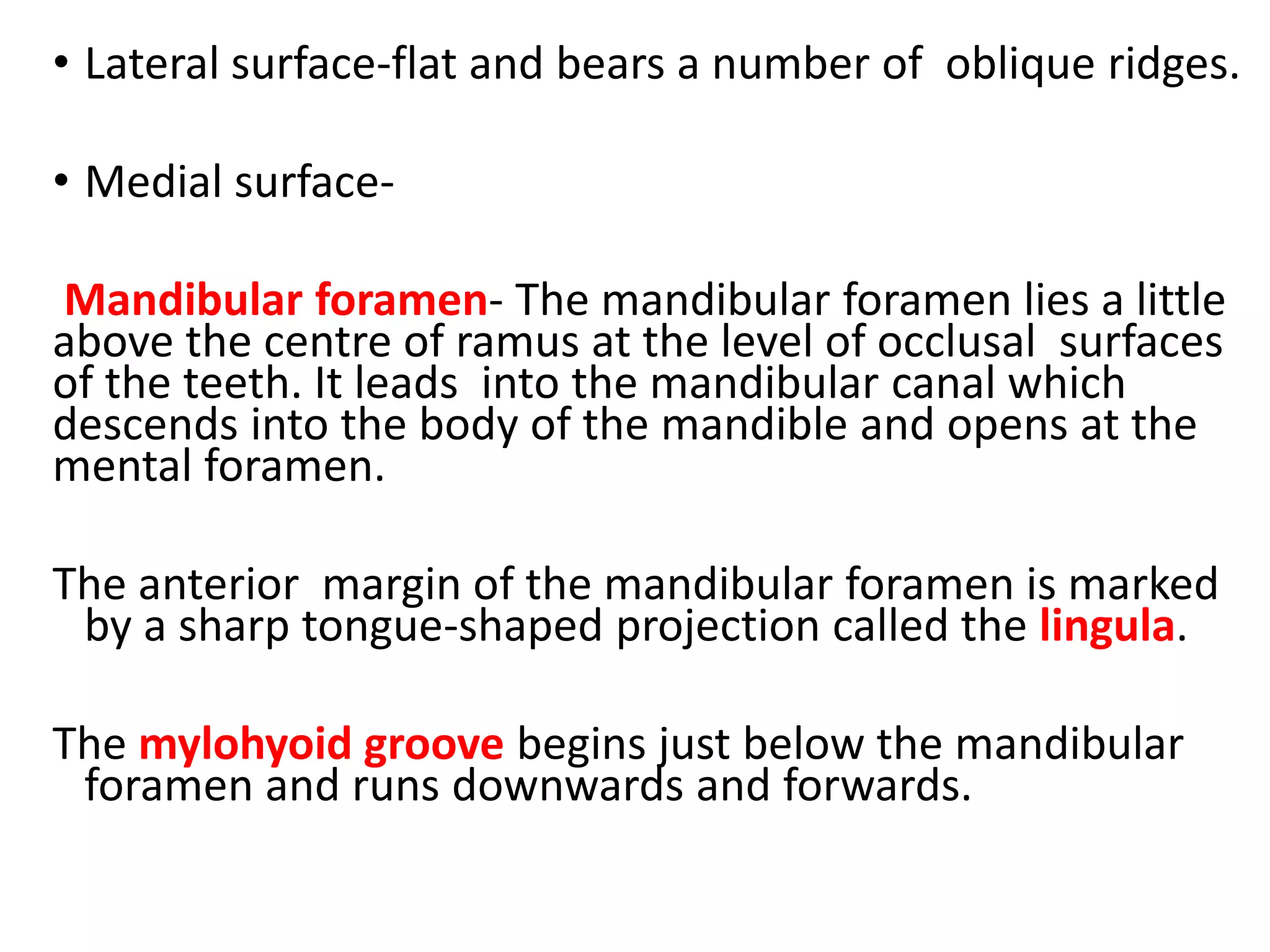 Anatomy of maxilla and mandible | PPT