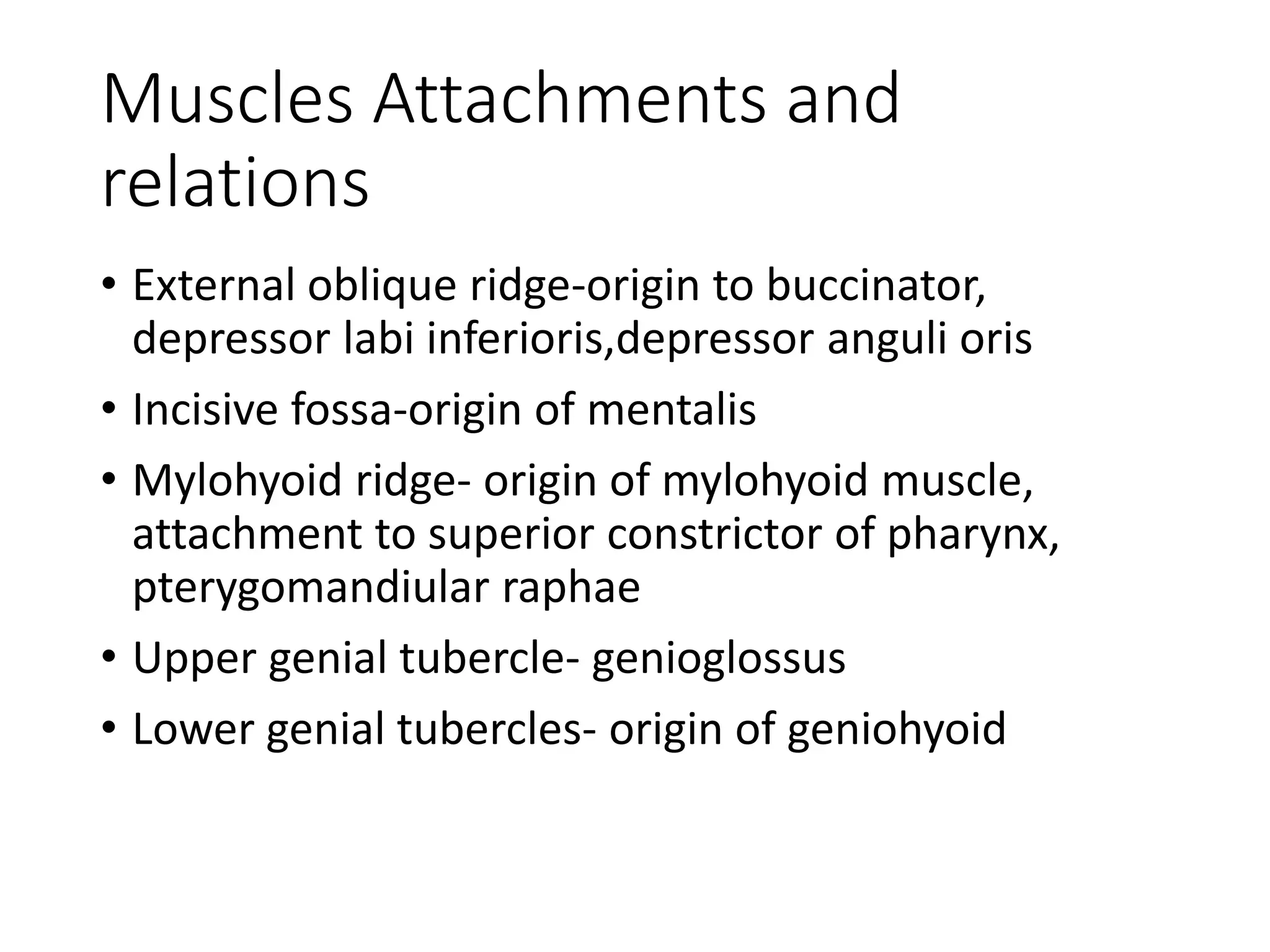 Anatomy of maxilla and mandible | PPTX
