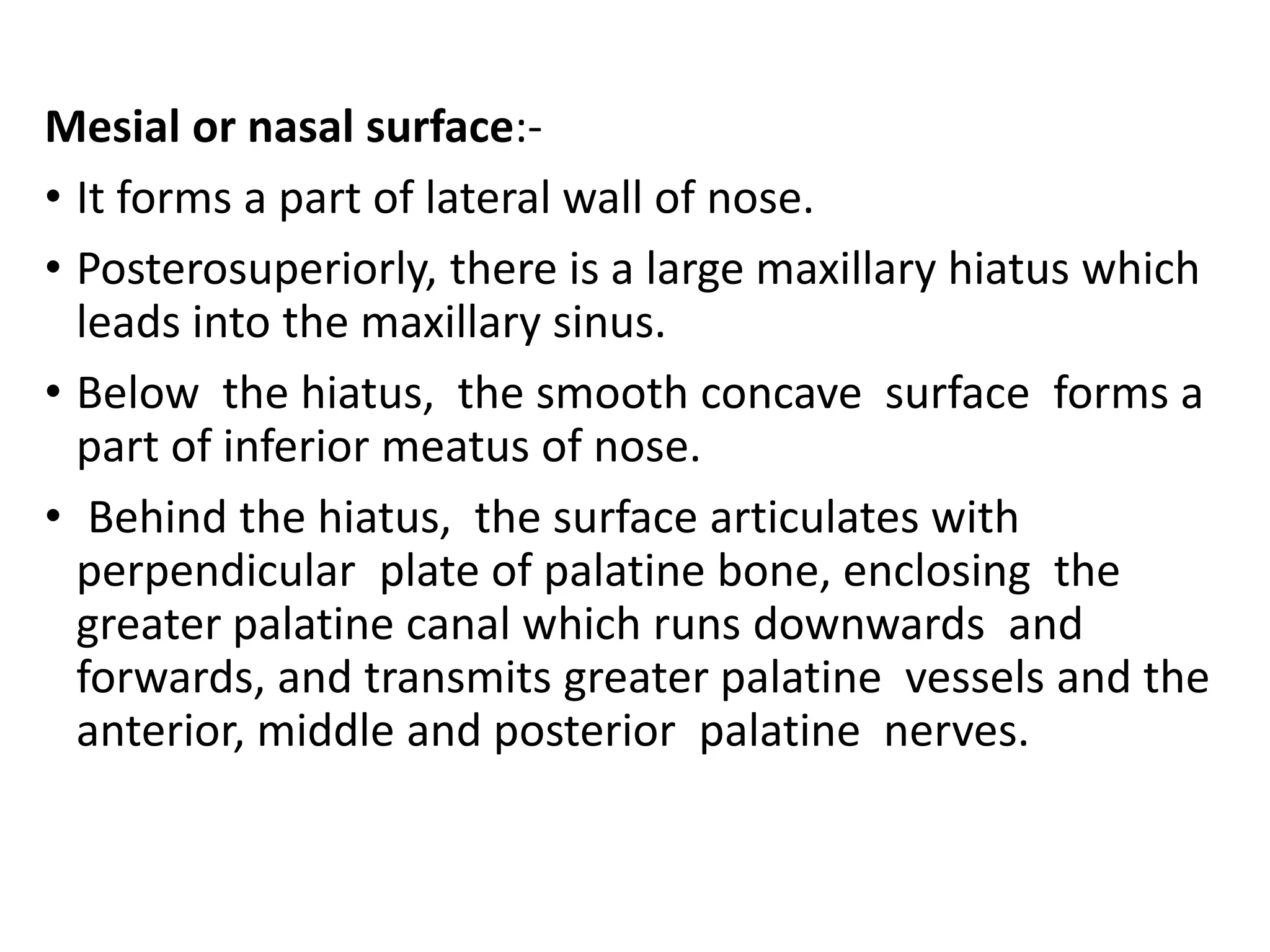 Anatomy of maxilla and mandible | PPTX
